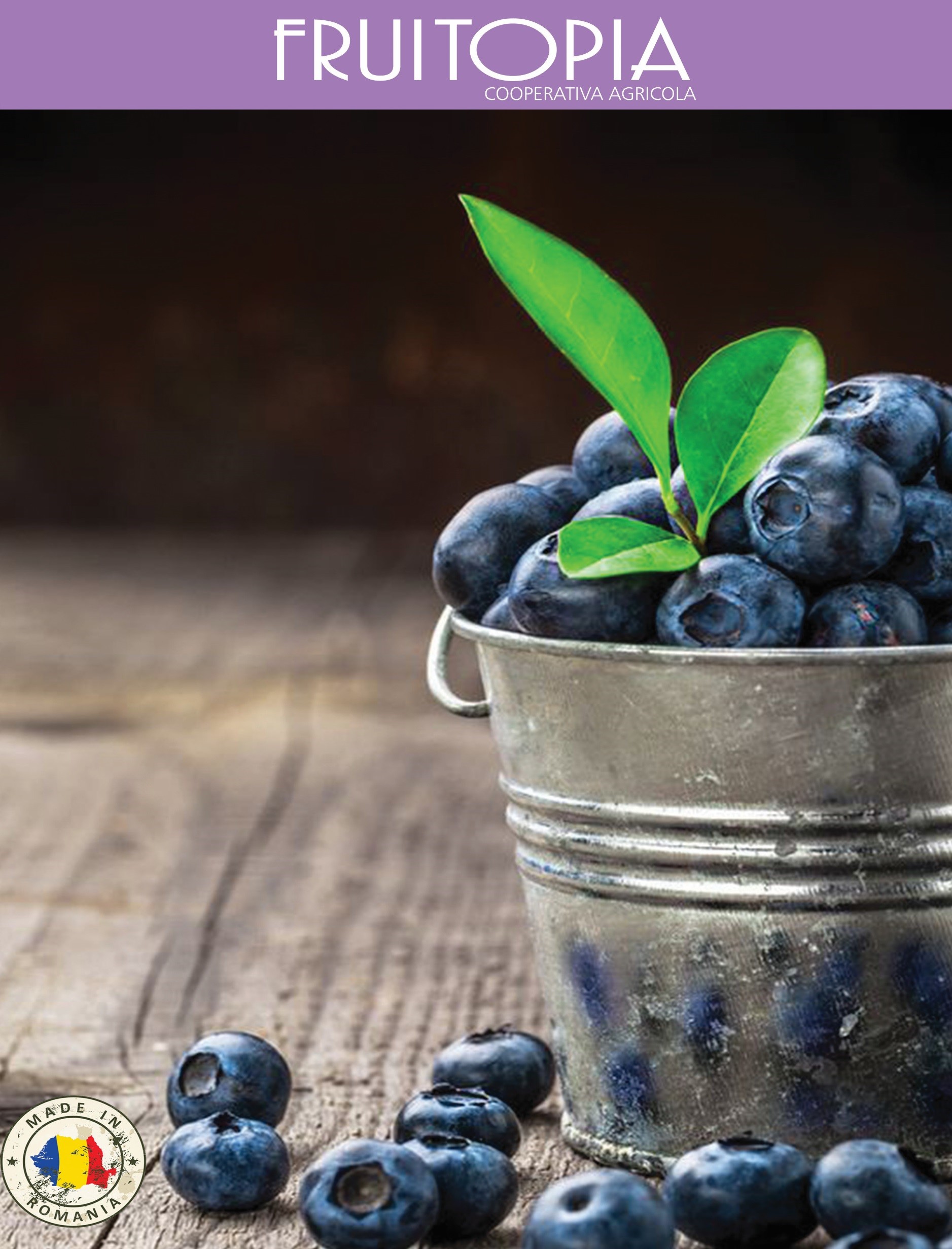 About us – Fruitopia